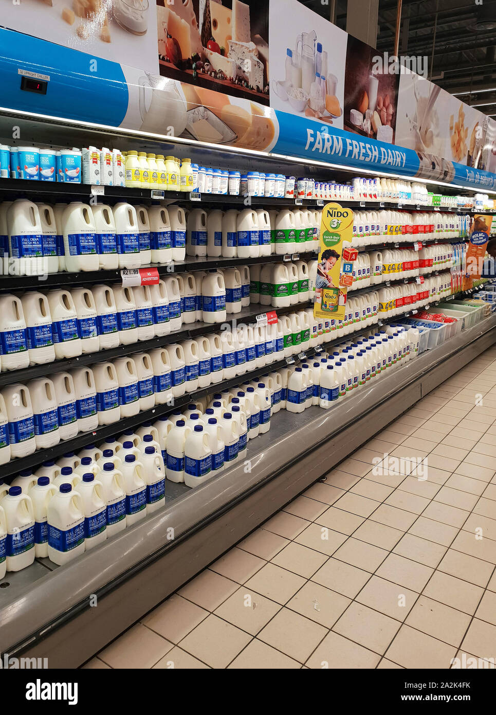 Dairy Aisle In A Grocery Store at Natalie Murray blog