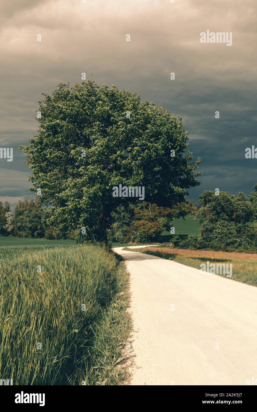 View of rural landscape in spring, white country road and trees Stock ...