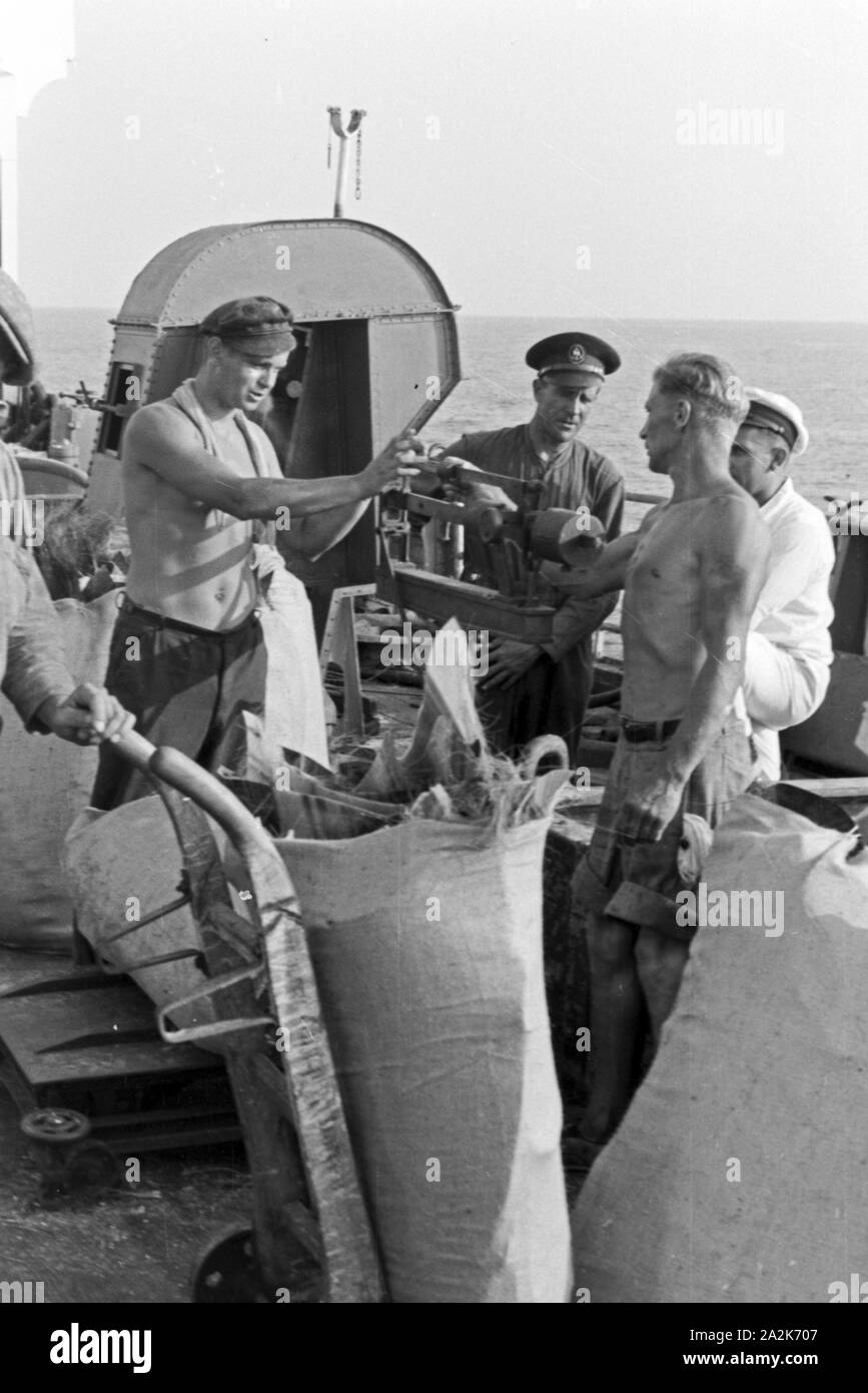 Beim abwiegen von barten hi-res stock photography and images - Alamy