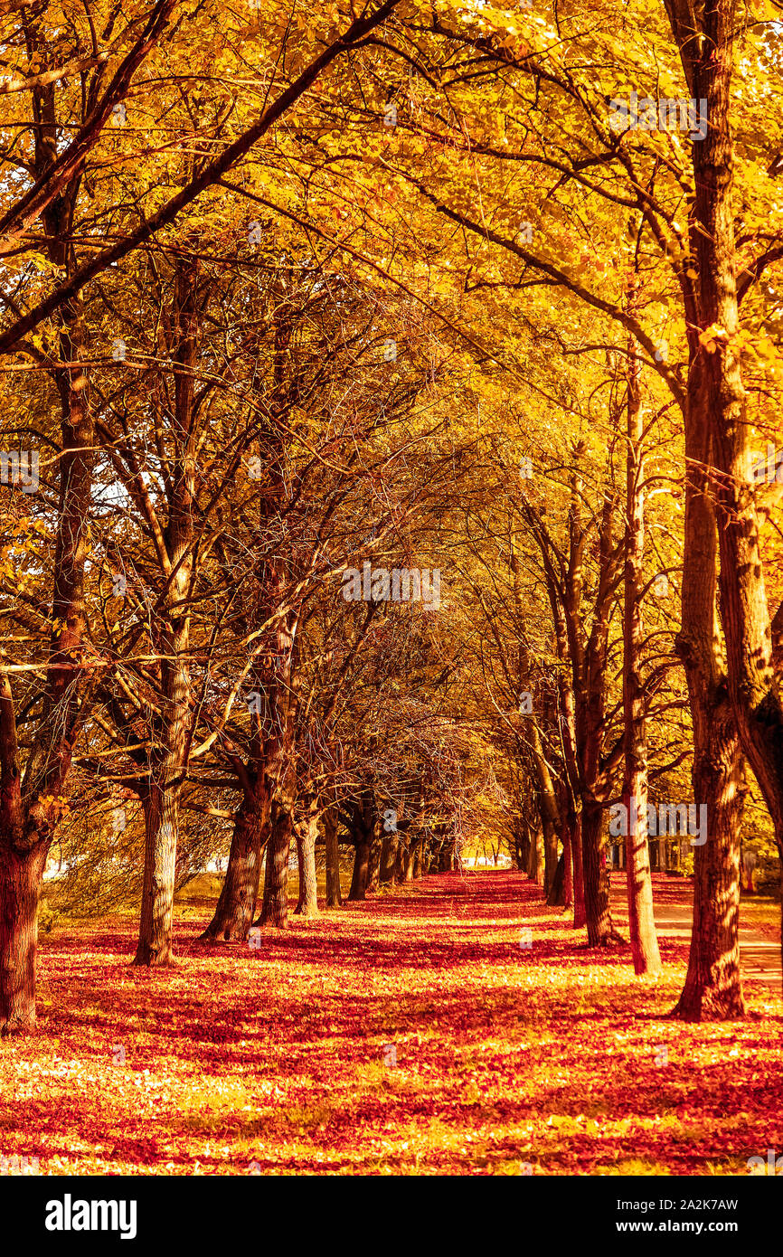 Fall Landscape Backgrounds