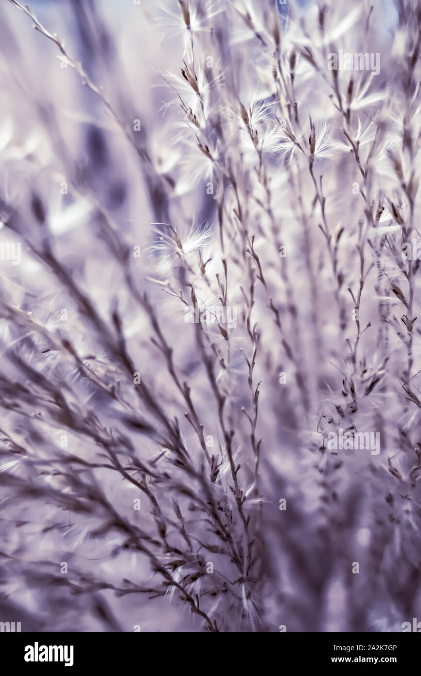 Rural landscape, pastel backdrop and environmental design concept ...