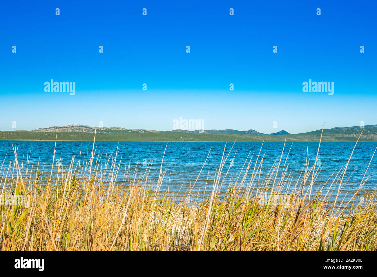Beautiful nature park Vransko lake, ornithological reservation in ...