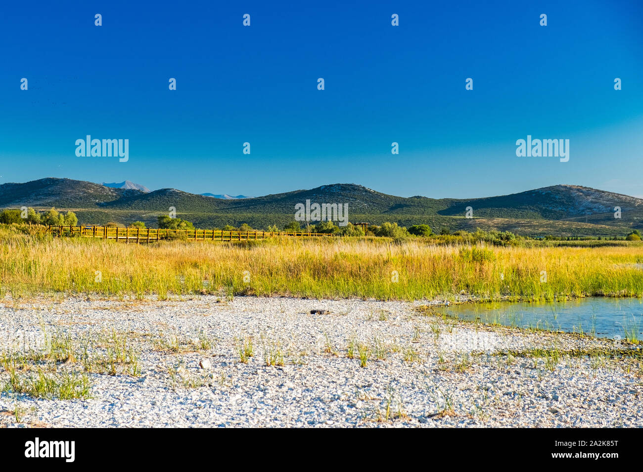 Beautiful nature park Vransko lake, ornithological reservation in ...