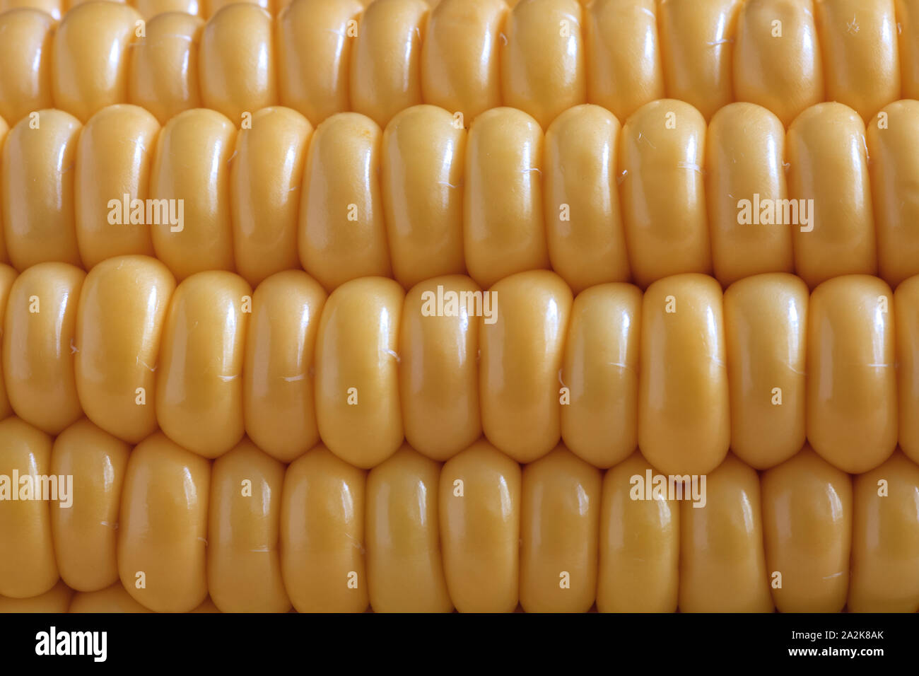 Yellow corn pattern close up. Texture of fresh golden sweetcorn grains ...