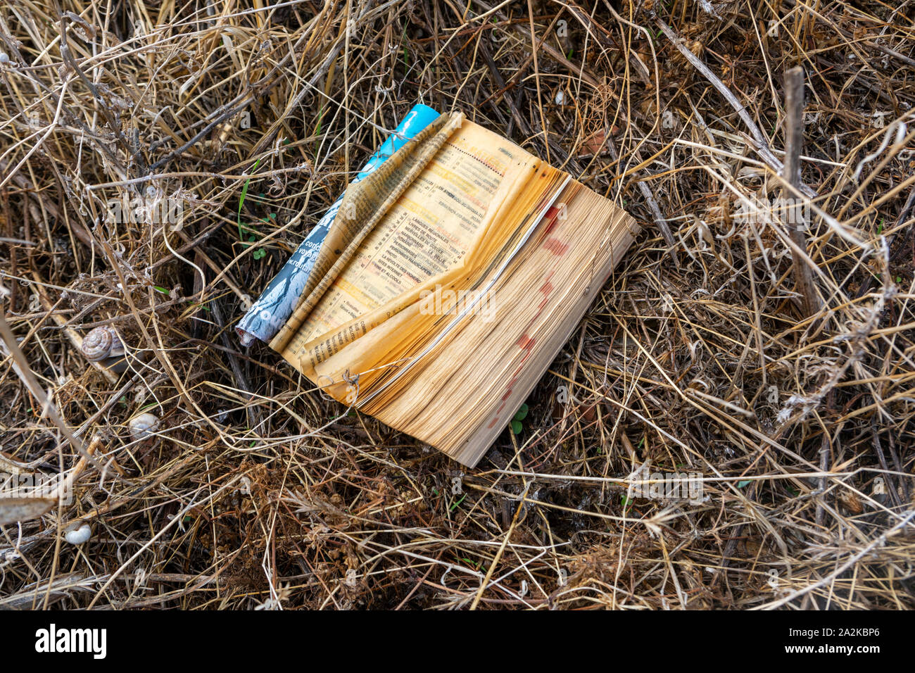 Abandoned book hi-res stock photography and images - Alamy