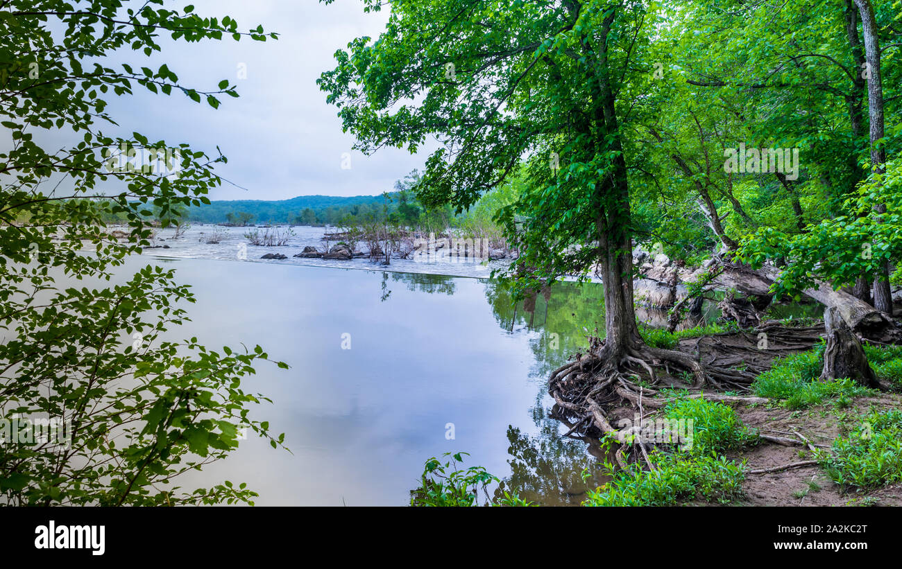 Trees on the side of the river with exposed roots and reflection in the ...