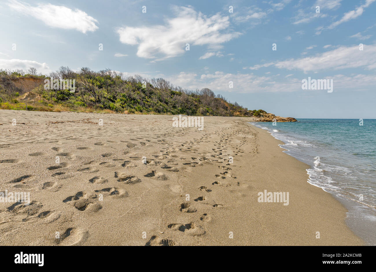 Landscape of Corsica island. Bella Riva beach on the east of island ...
