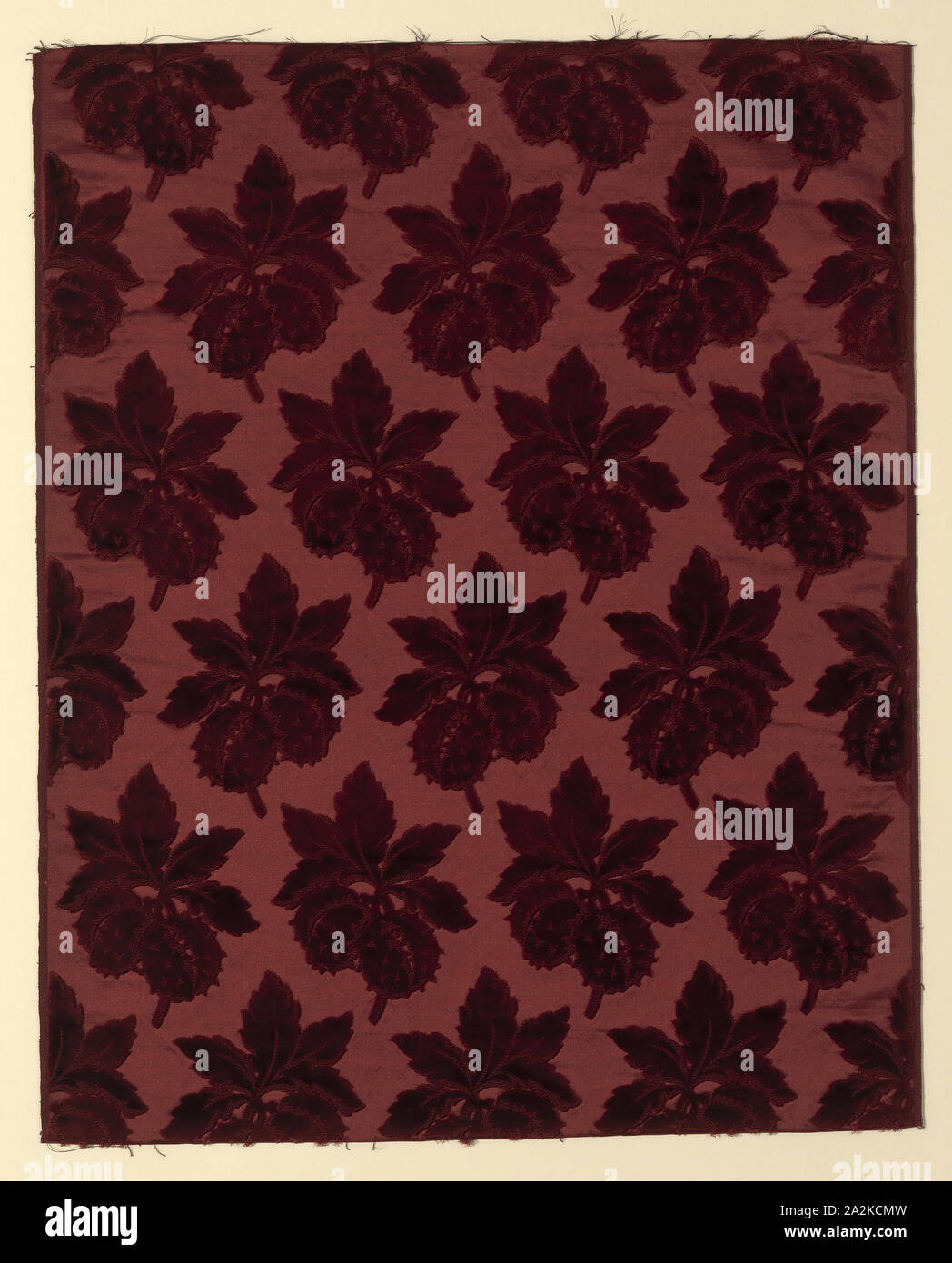 Warp float faced 1 hi-res stock photography and images - Alamy