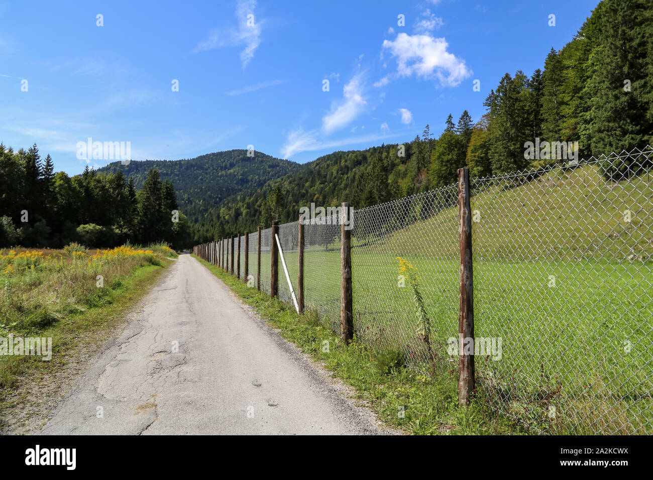 Gauze cage hi-res stock photography and images - Alamy