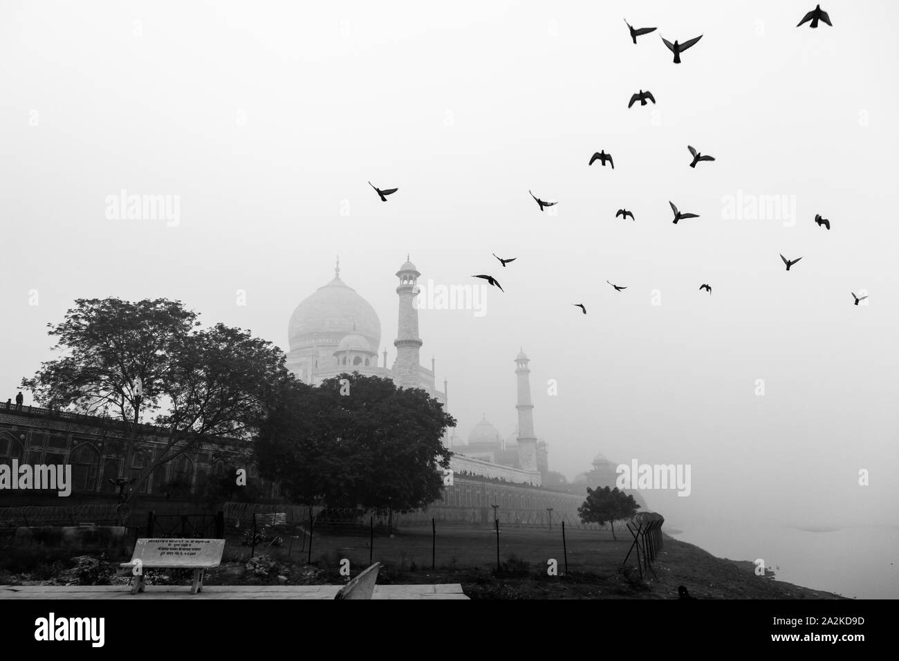 Taj Mahal Pattern High Resolution Stock Photography and Images - Alamy