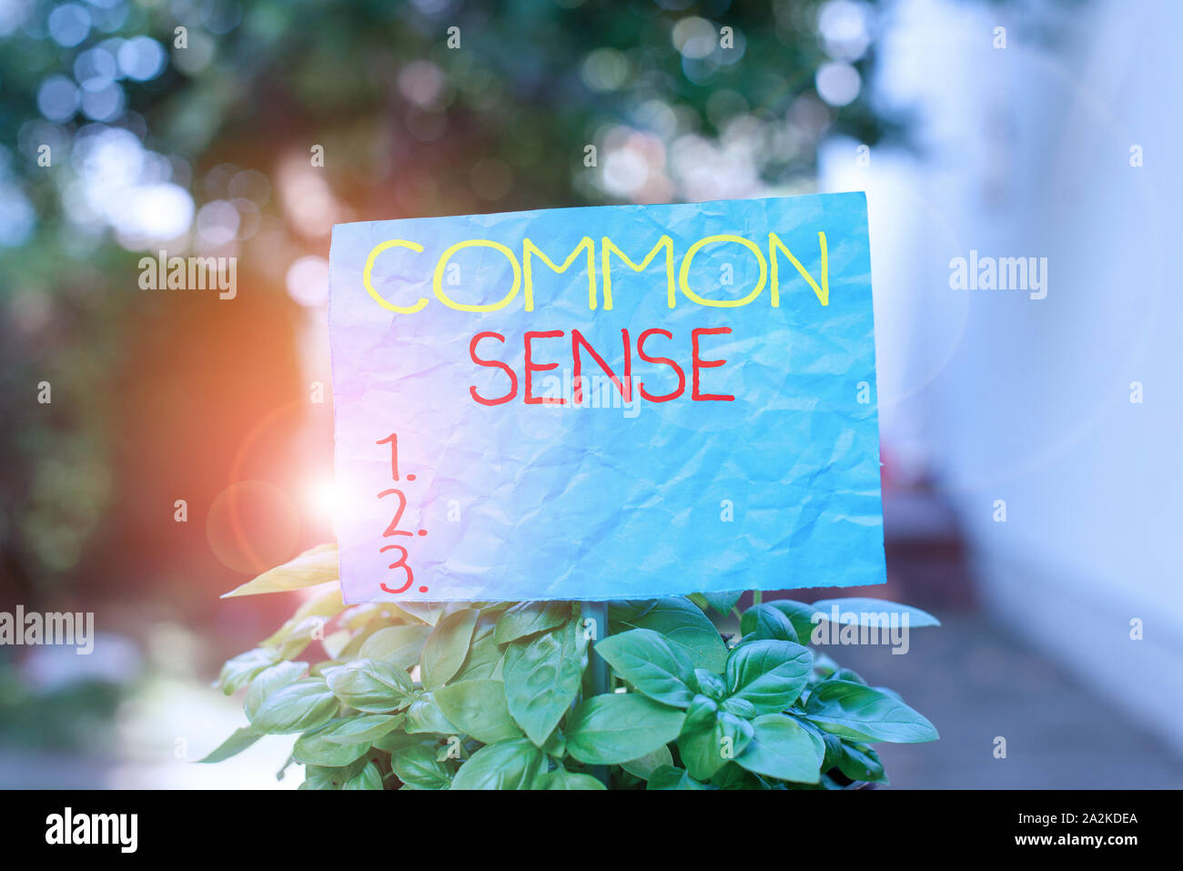 Conceptual hand writing showing Common Sense. Concept meaning having ...