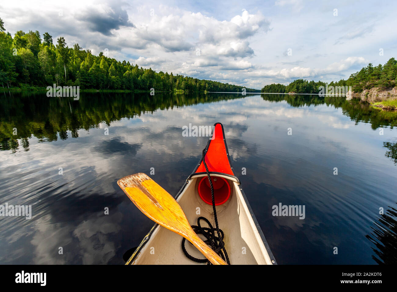 Canoeing in the woods hi-res stock photography and images - Alamy