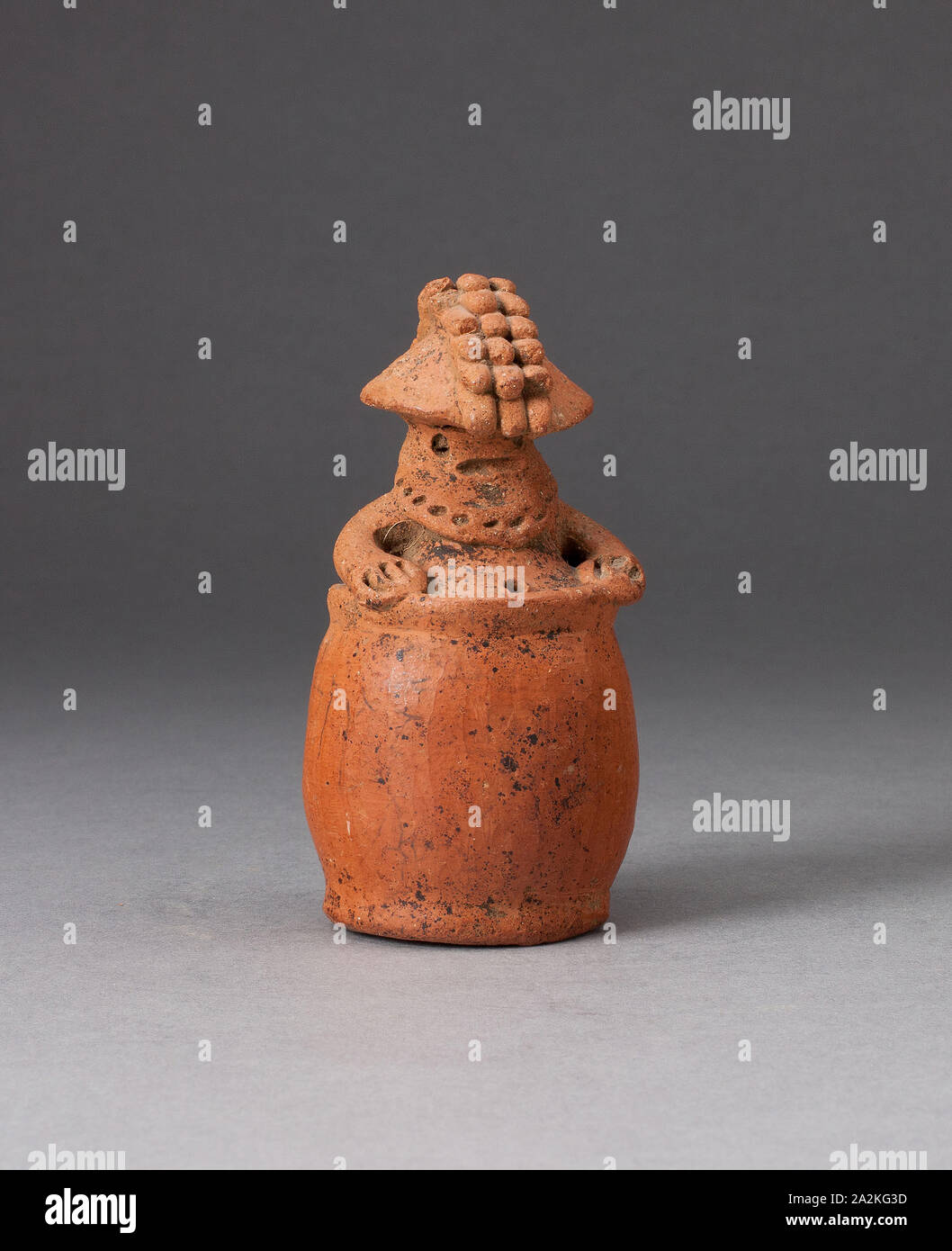 Guacimo hi-res stock photography and images - Alamy