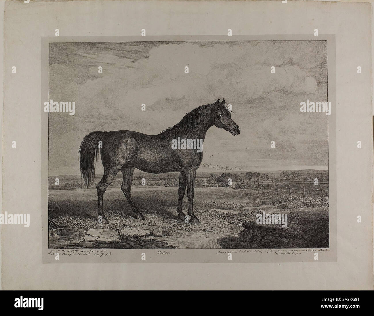 James walton hi-res stock photography and images - Alamy