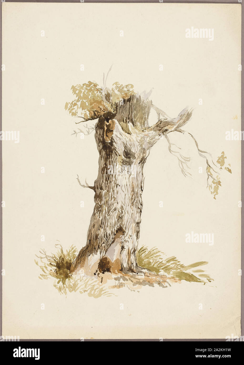 William i tree hi-res stock photography and images - Alamy