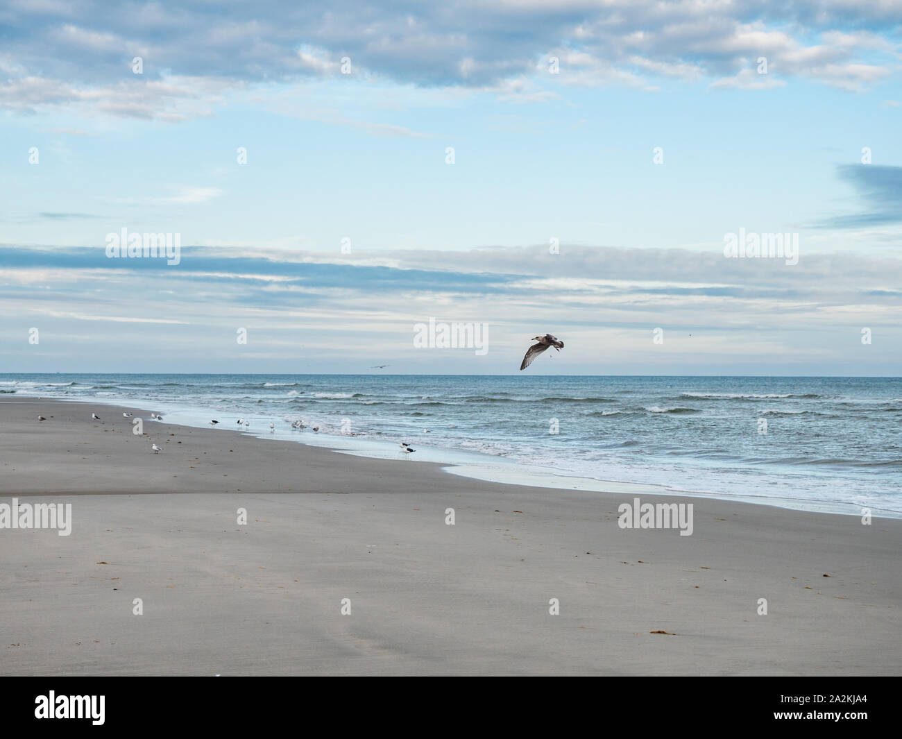 Dutch wadden sea hi-res stock photography and images - Alamy