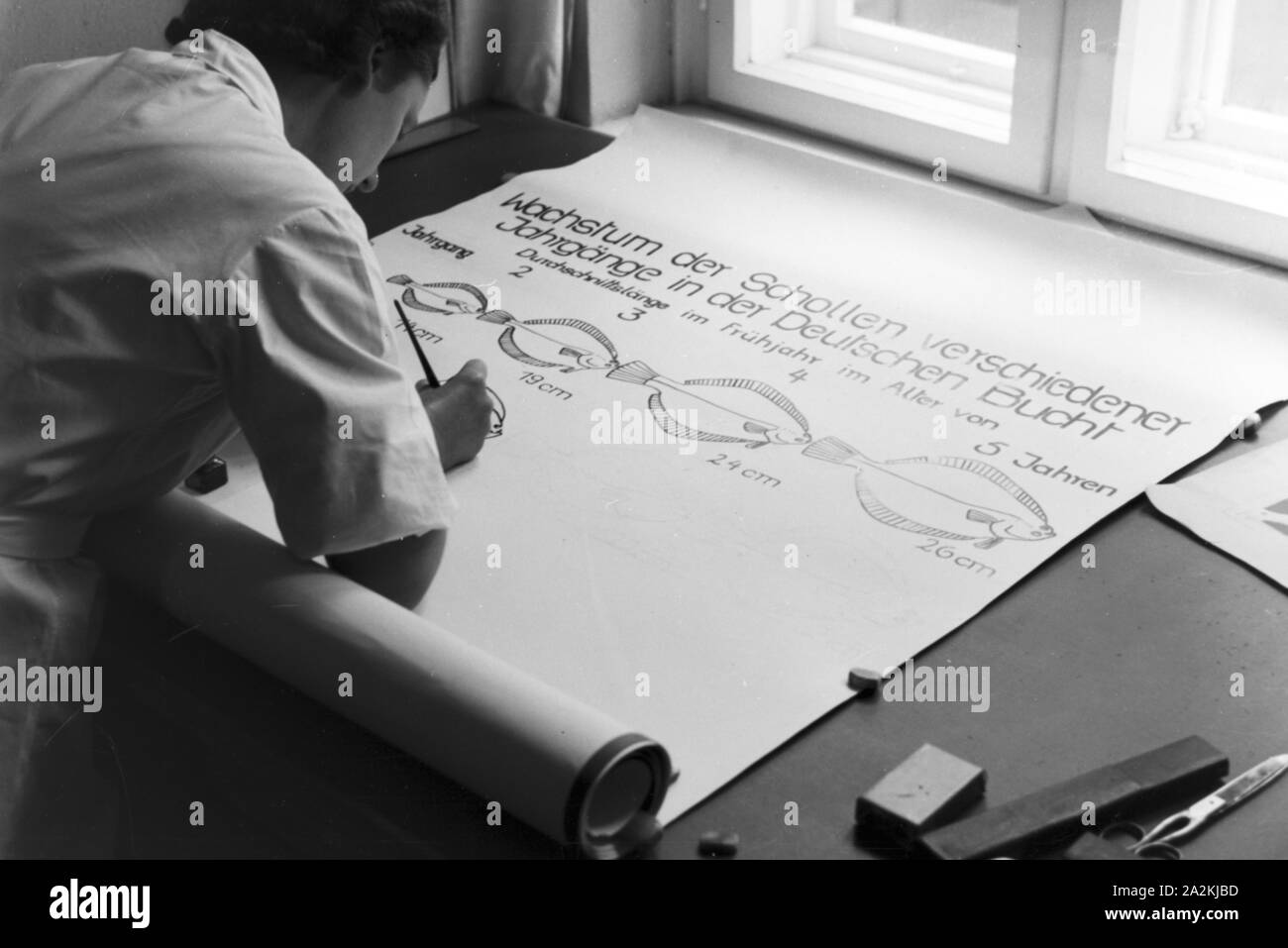 Wissenschaftliche Untersuchungen in der Deutschen Bucht, Deutsches ...