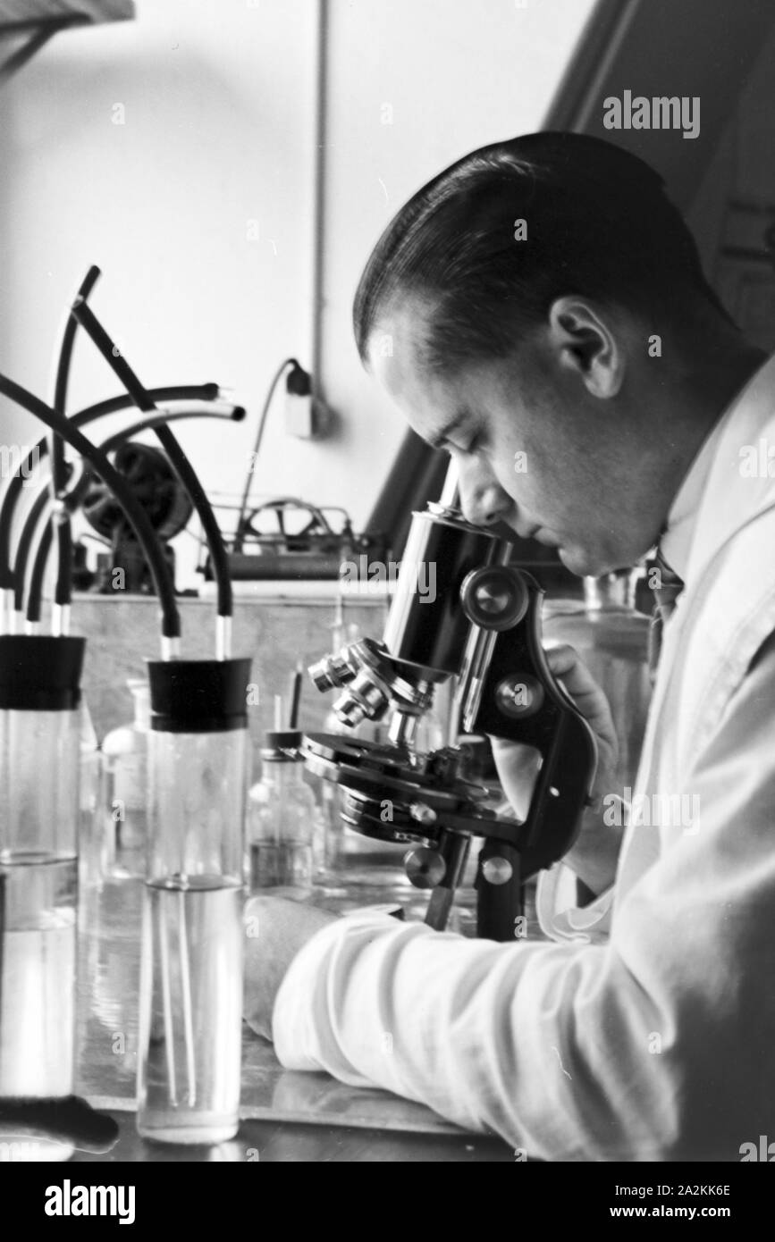 Wissenschaftliche Untersuchungen in der Deutschen Bucht, Deutsches ...