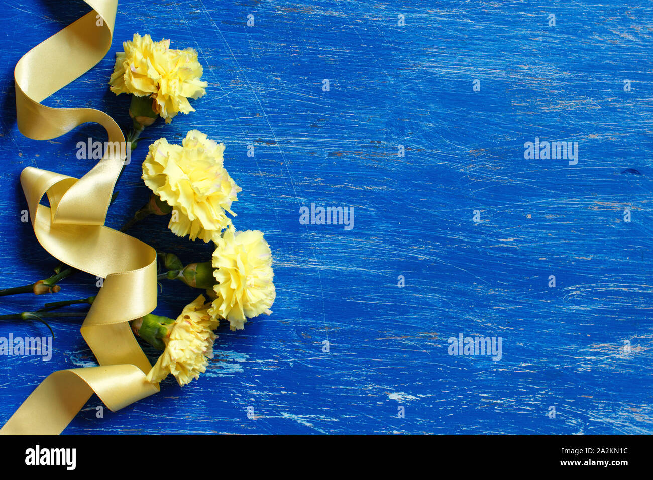 Yellow carnations hi-res stock photography and images - Alamy