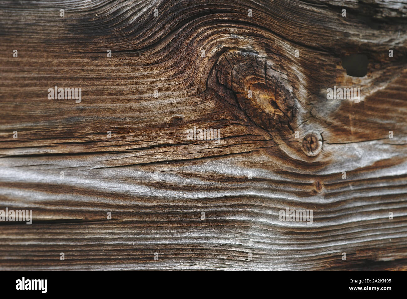 dark dry wood texture close-up, macro photography Stock Photo - Alamy