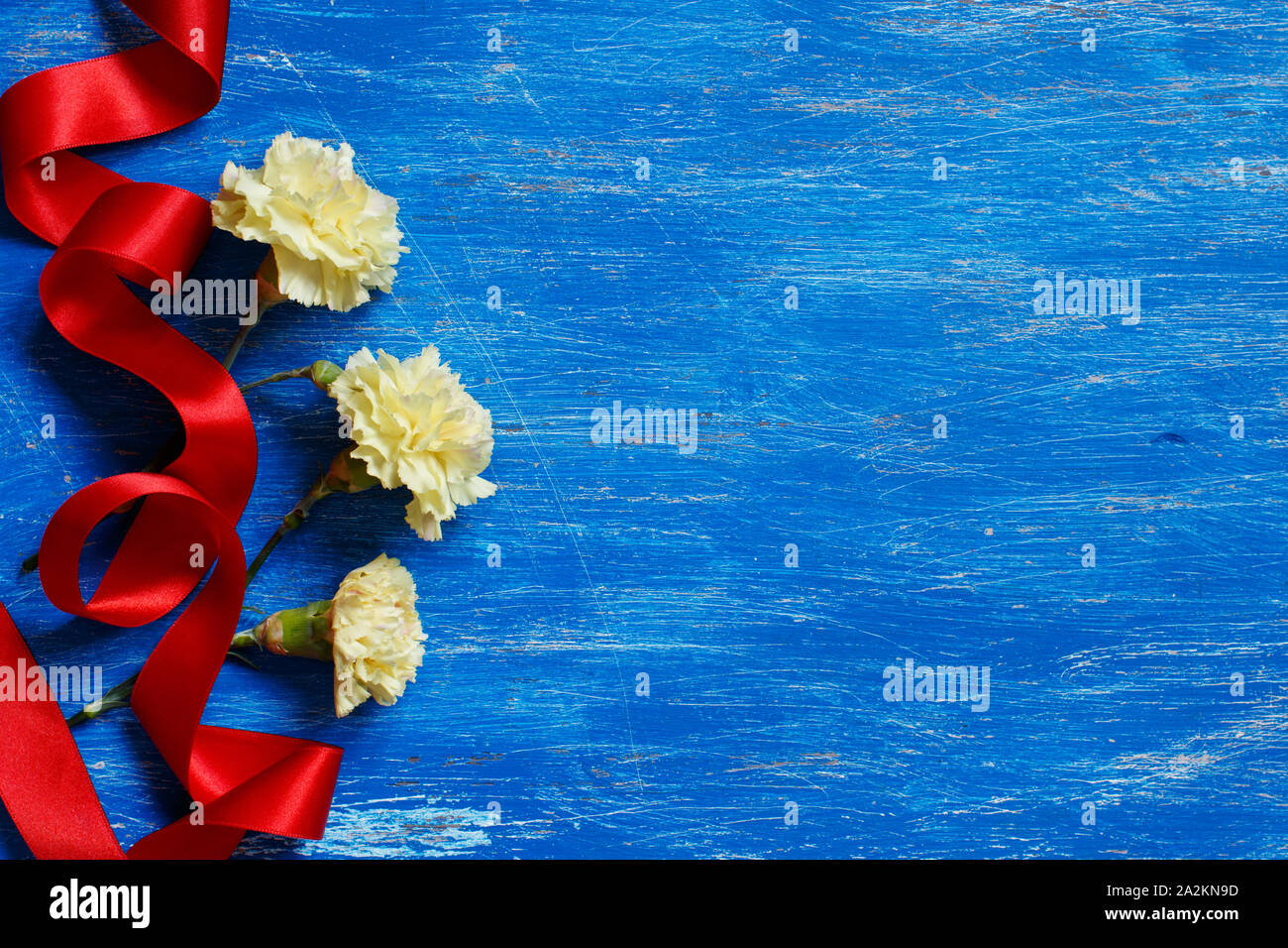 Yellow carnations hi-res stock photography and images - Alamy