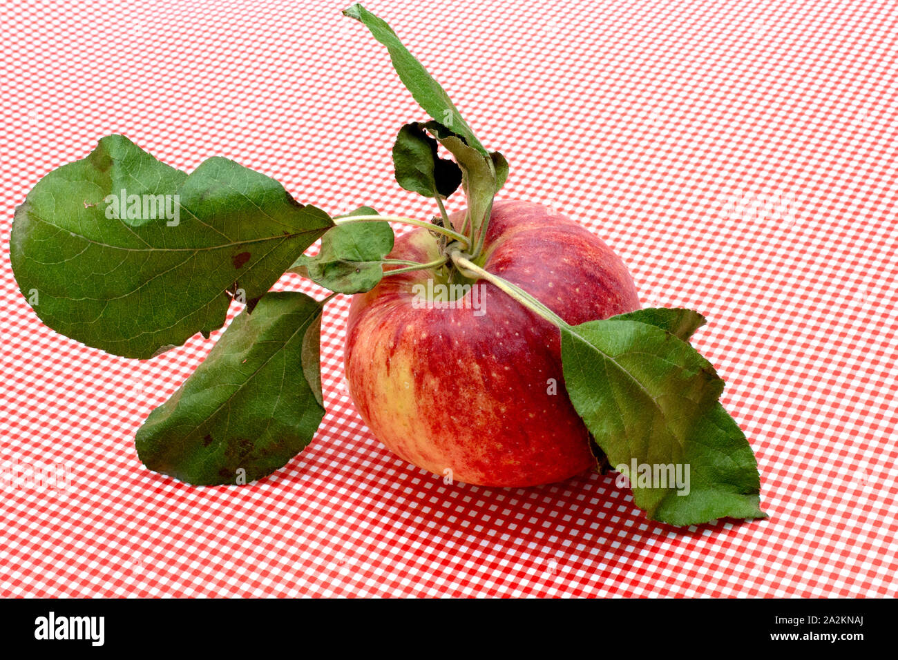 red ripe with leaves, image of a Stock Photo - Alamy