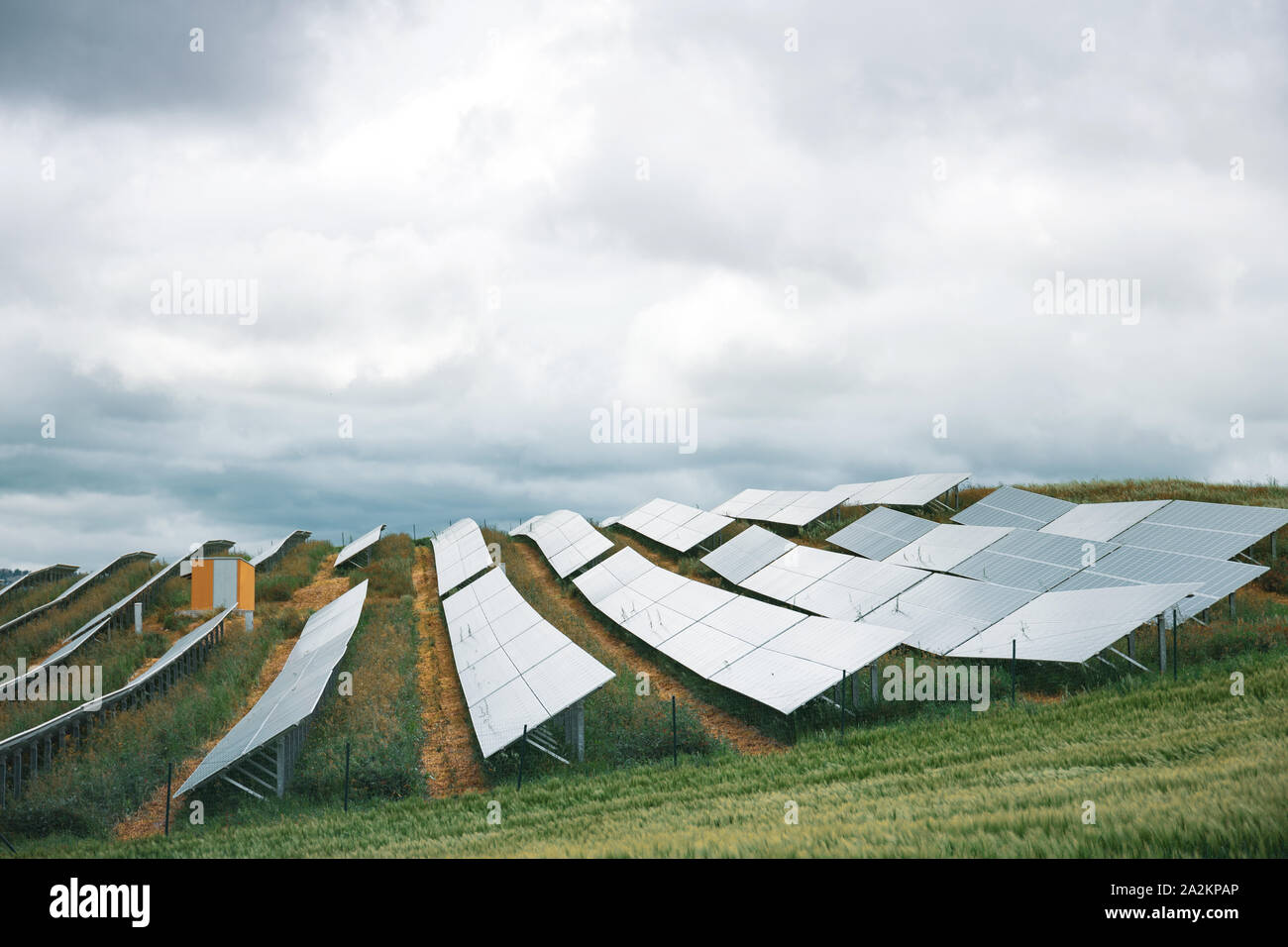 Alternative electricity source, wheat field with solar panels Stock ...