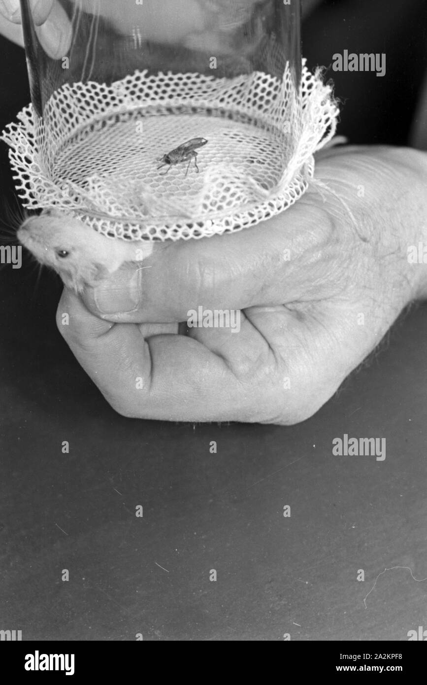 Schilling hi-res stock photography and images - Alamy