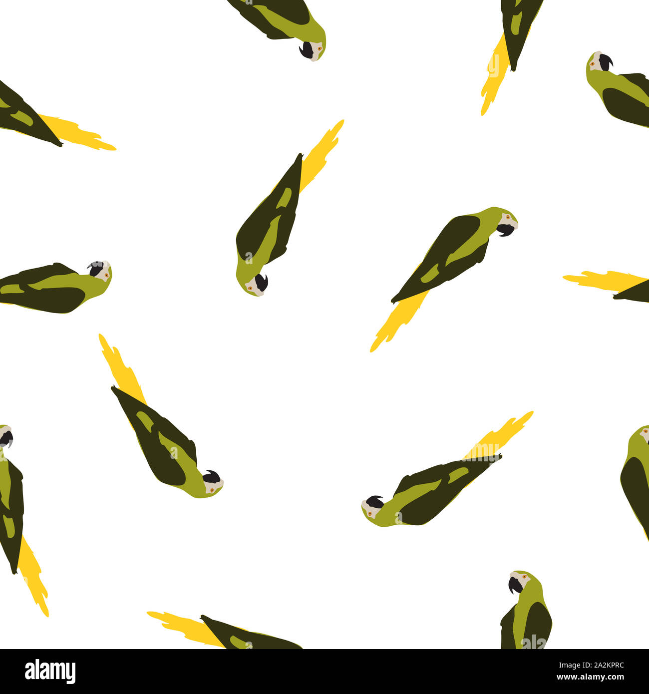 Amazon rainforest brazil birds Cut Out Stock Images & Pictures - Alamy