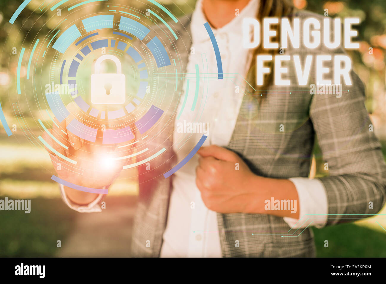 Text sign showing Dengue Fever. Business photo showcasing infectious ...