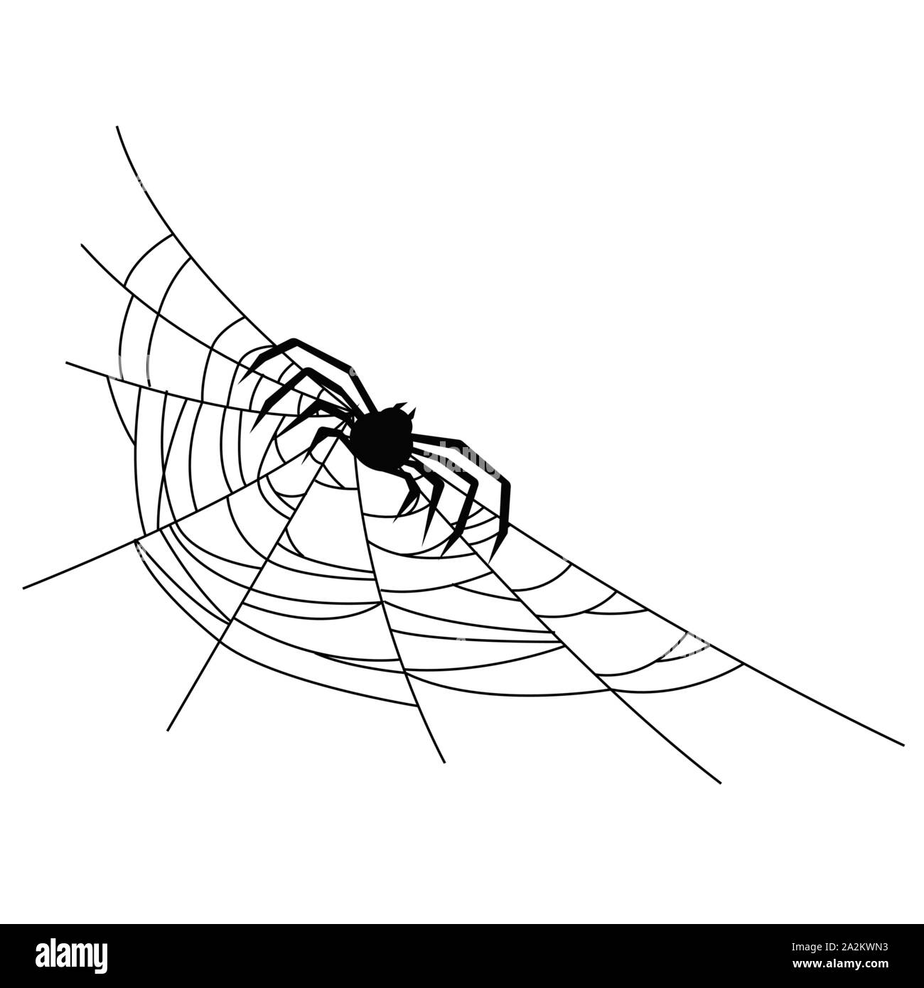 Set of spider web of different shapes with black spiders isolated Stock ...