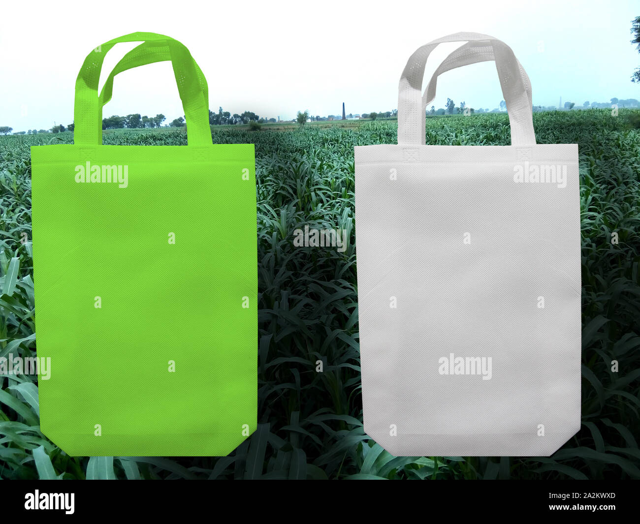 Green recycle bags hi-res stock photography and images - Alamy
