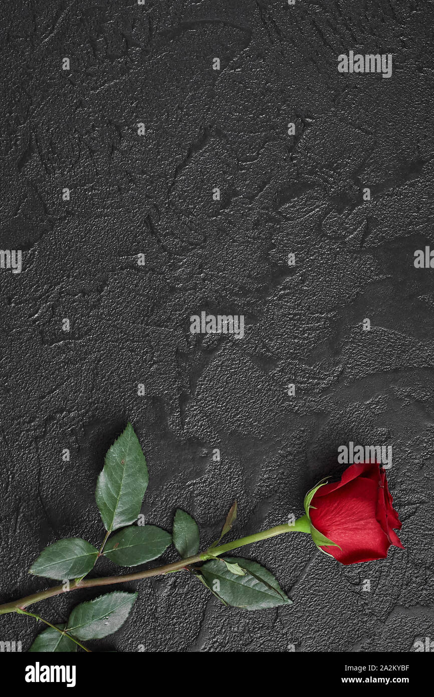 Red roses are placed on a black textured background. A sign of ...