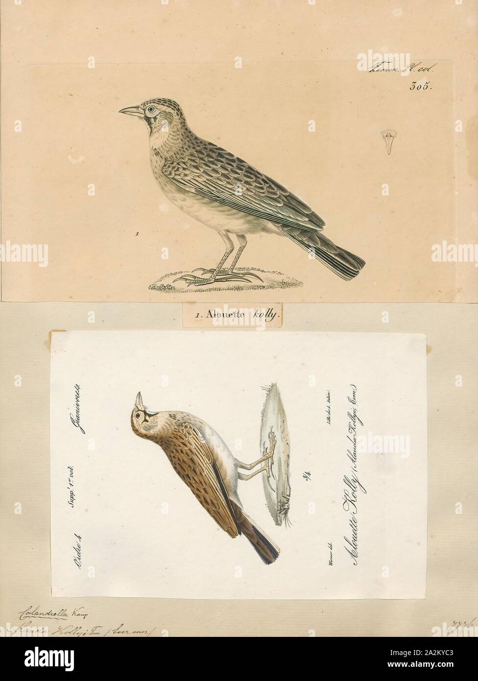 Islet of raso in hi-res stock photography and images - Alamy