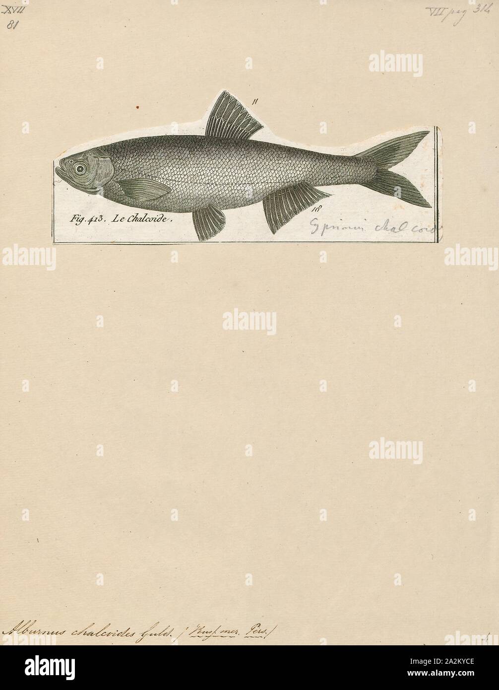 Italy slovenia austria hi-res stock photography and images - Alamy