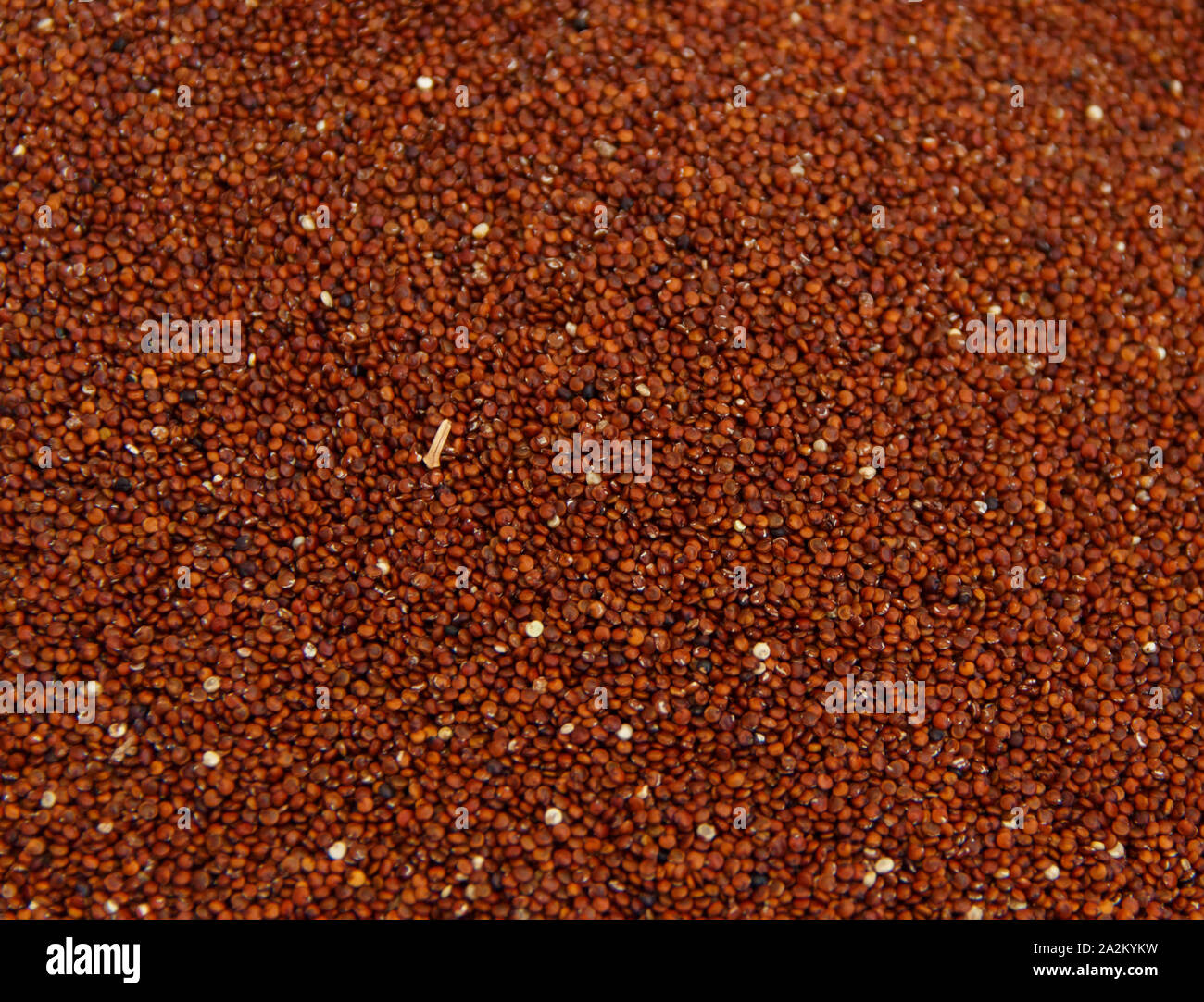 Pile of uncooked red quinoa grain top view close up Stock Photo - Alamy