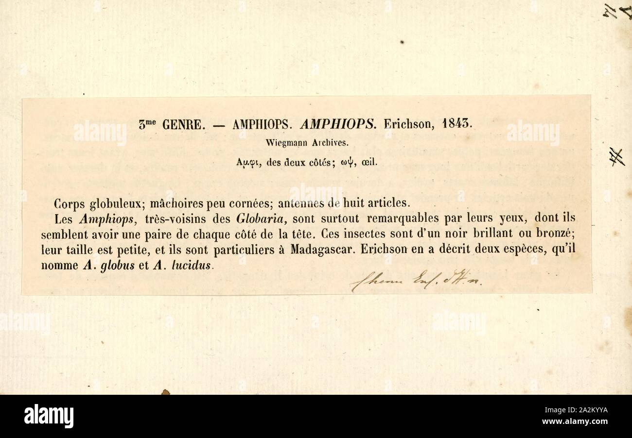 Amphiops hi-res stock photography and images - Alamy