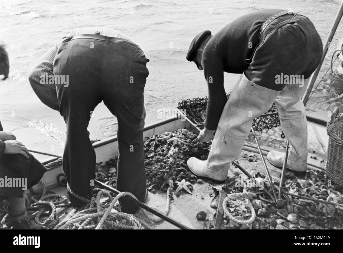 Fischer bei der Arbeit, Deutsches Reich 1930er jahre. Fishermen at work ...