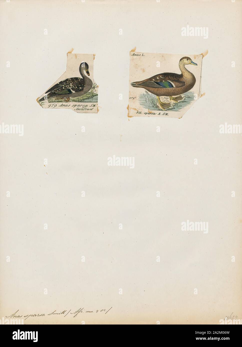 Accordingly placed hi-res stock photography and images - Alamy