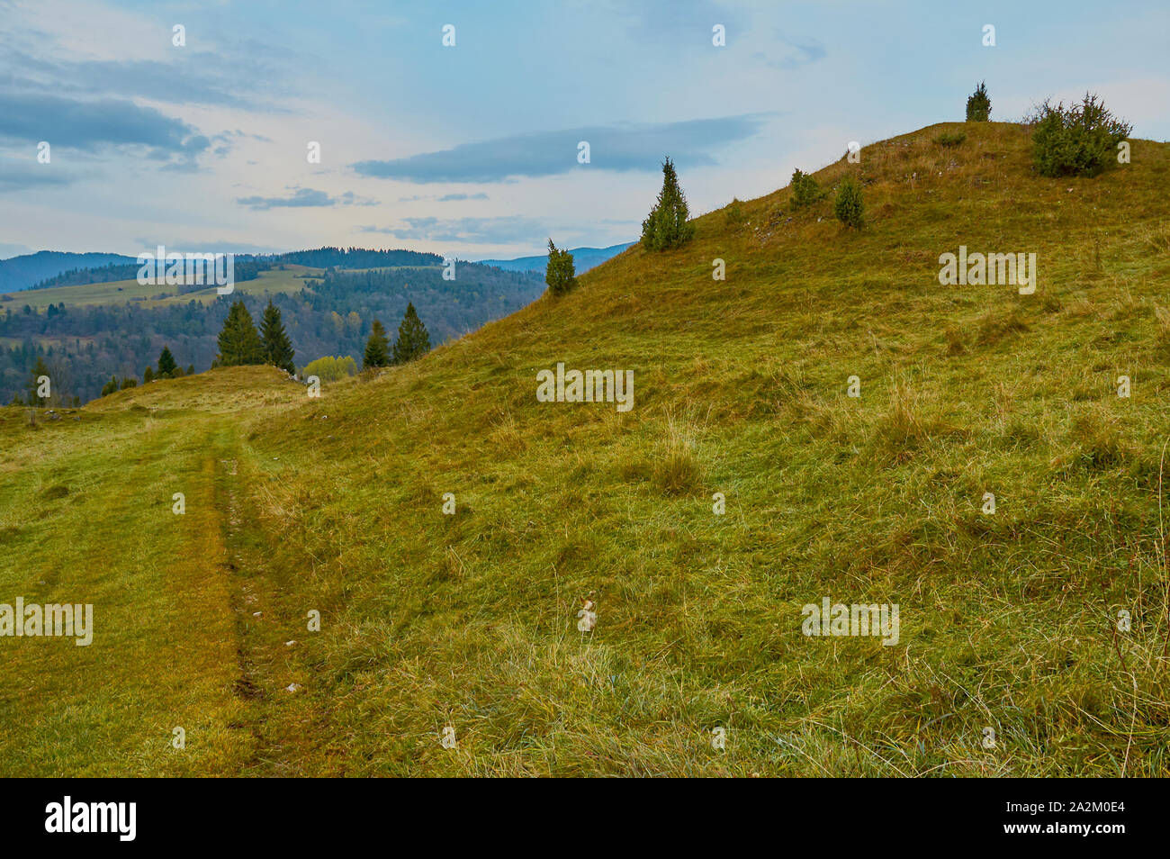 Disappearing road hi-res stock photography and images - Alamy
