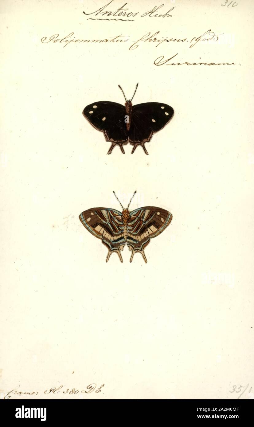 Anteros hi-res stock photography and images - Alamy