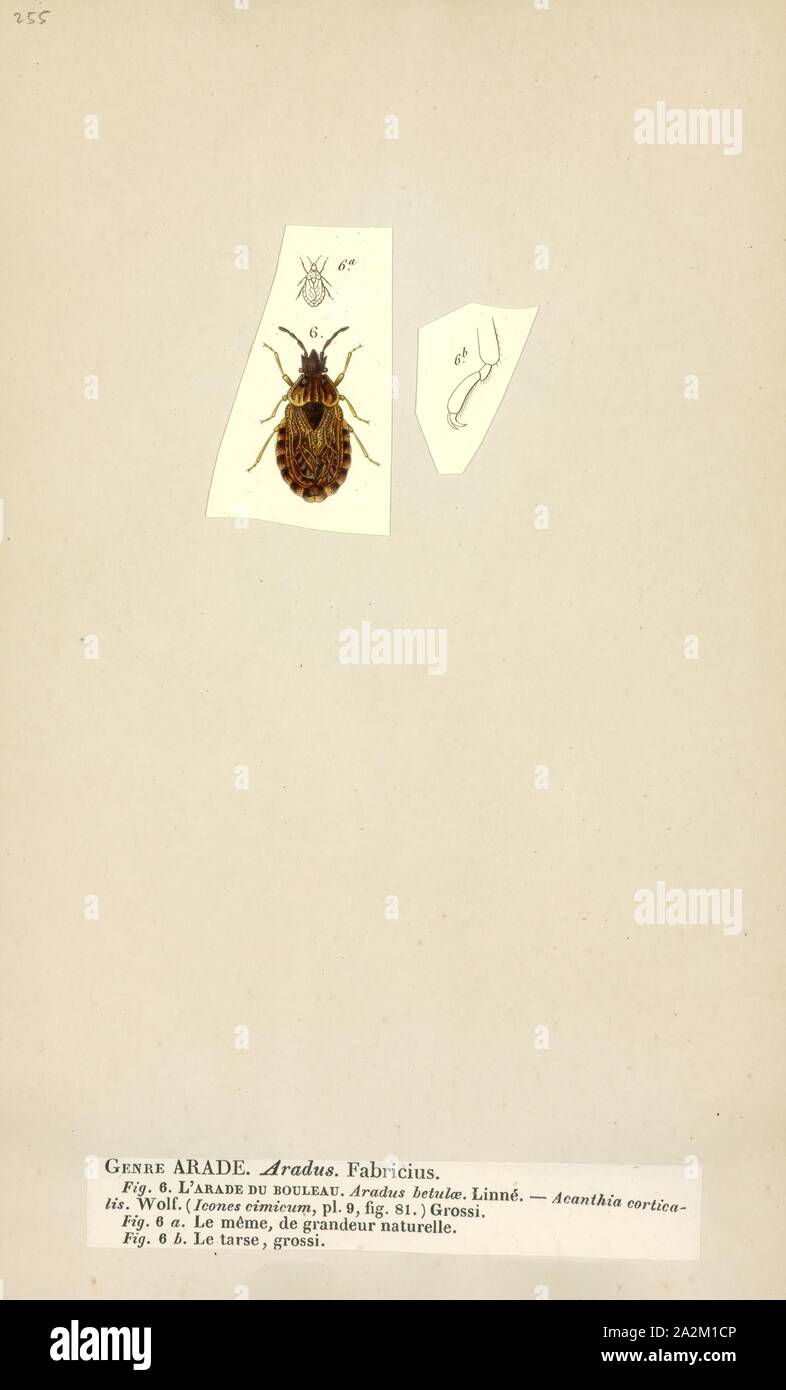 Mainly distributed hi-res stock photography and images - Alamy