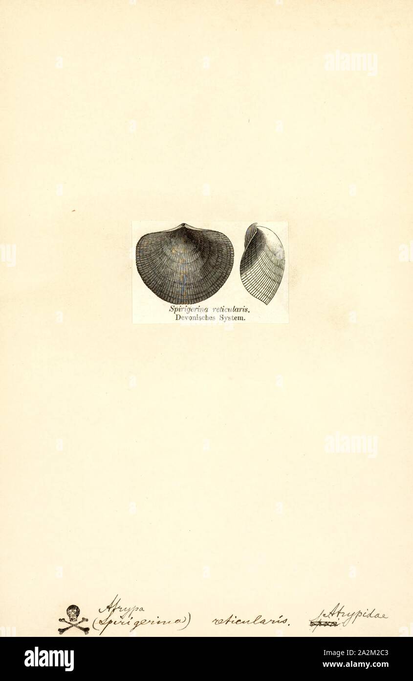 Opposite hinge hi-res stock photography and images - Alamy