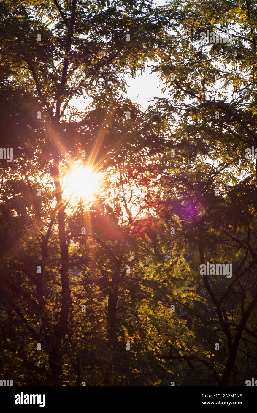 Morning sunrise in nature Stock Photo - Alamy