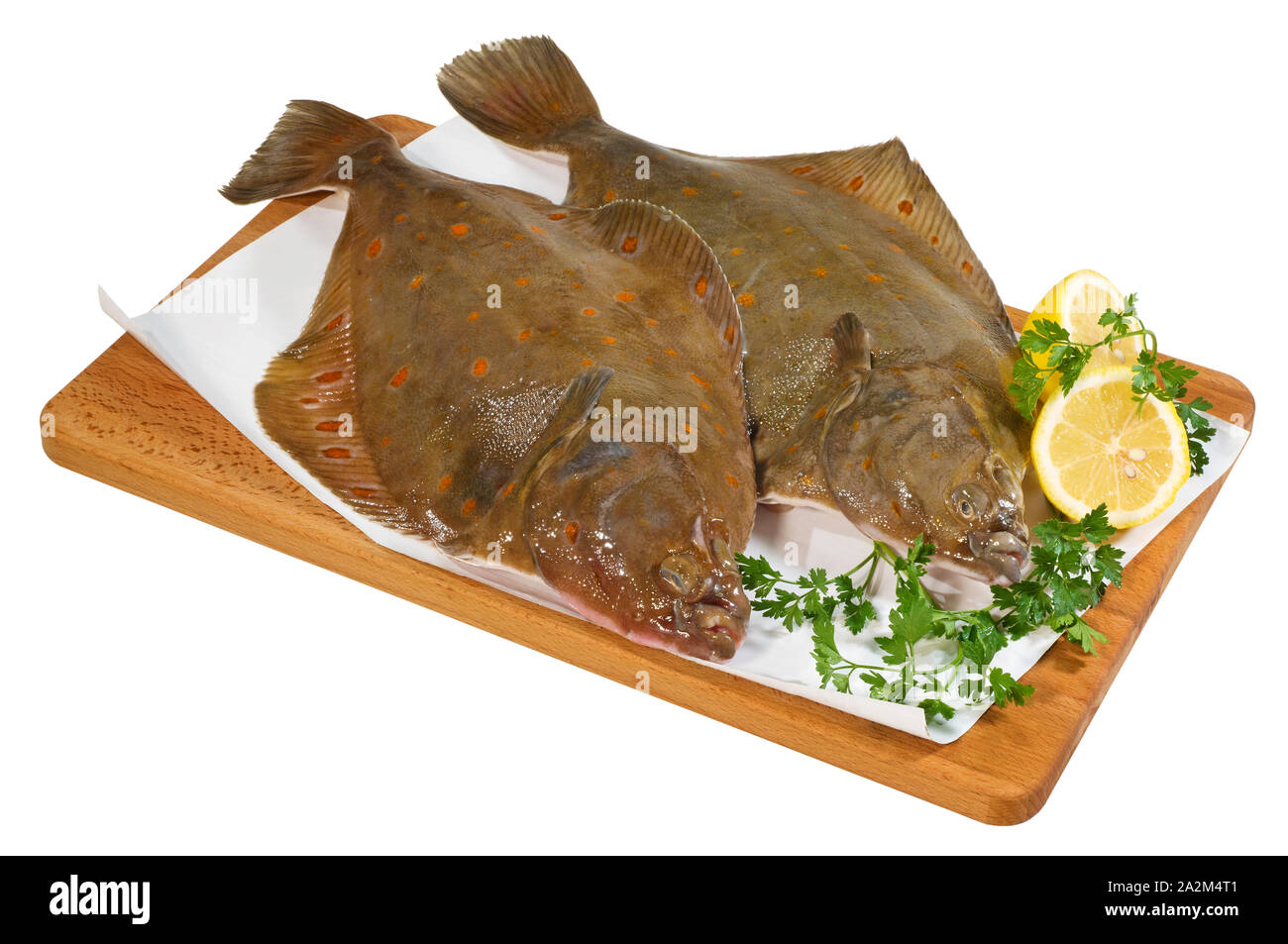 Flatfish flounder hi-res stock photography and images - Alamy
