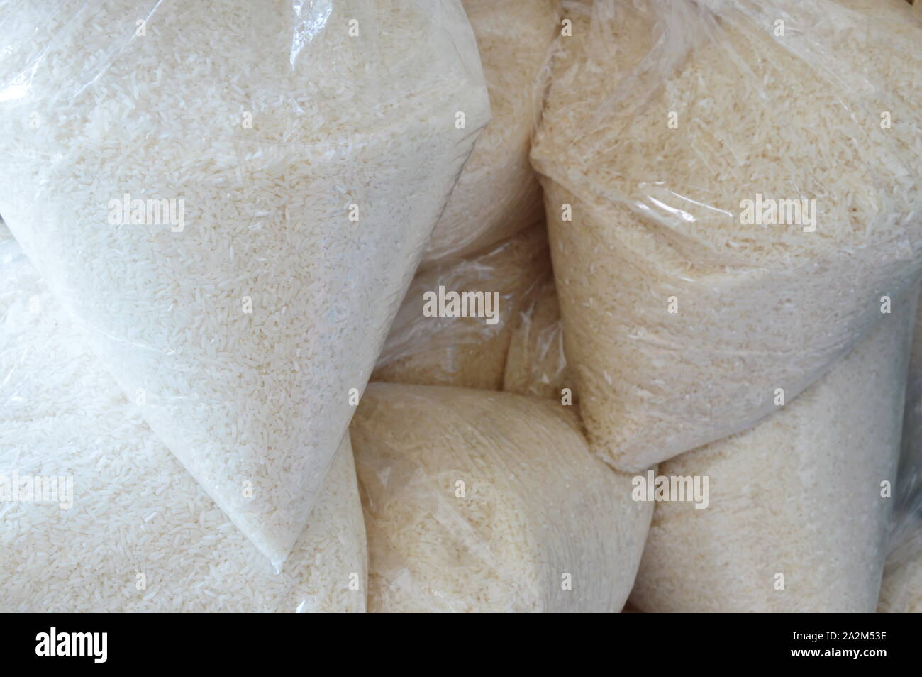 Thai jasmine rice paddy packing in plastic bag stocking on storehouse ...