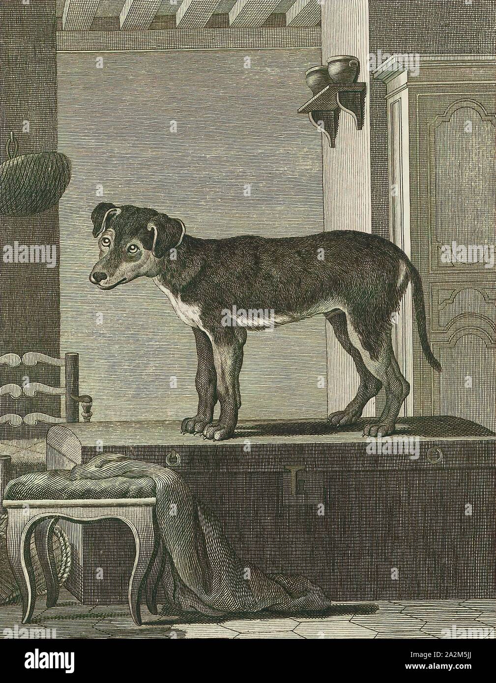 Direct ancestor hi-res stock photography and images - Alamy