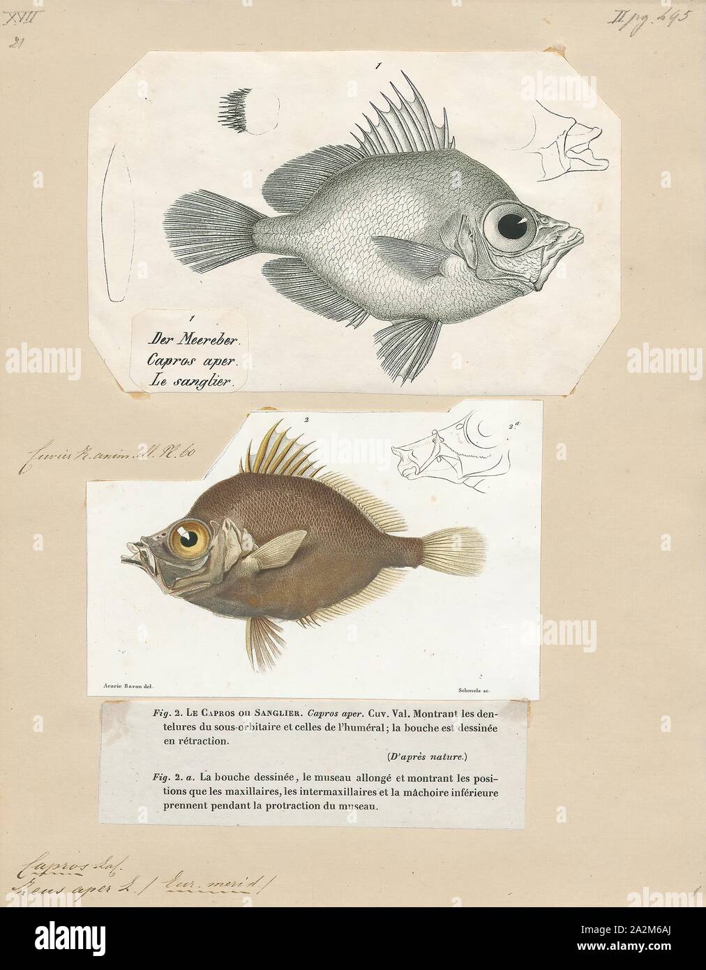 Family member hi-res stock photography and images - Alamy