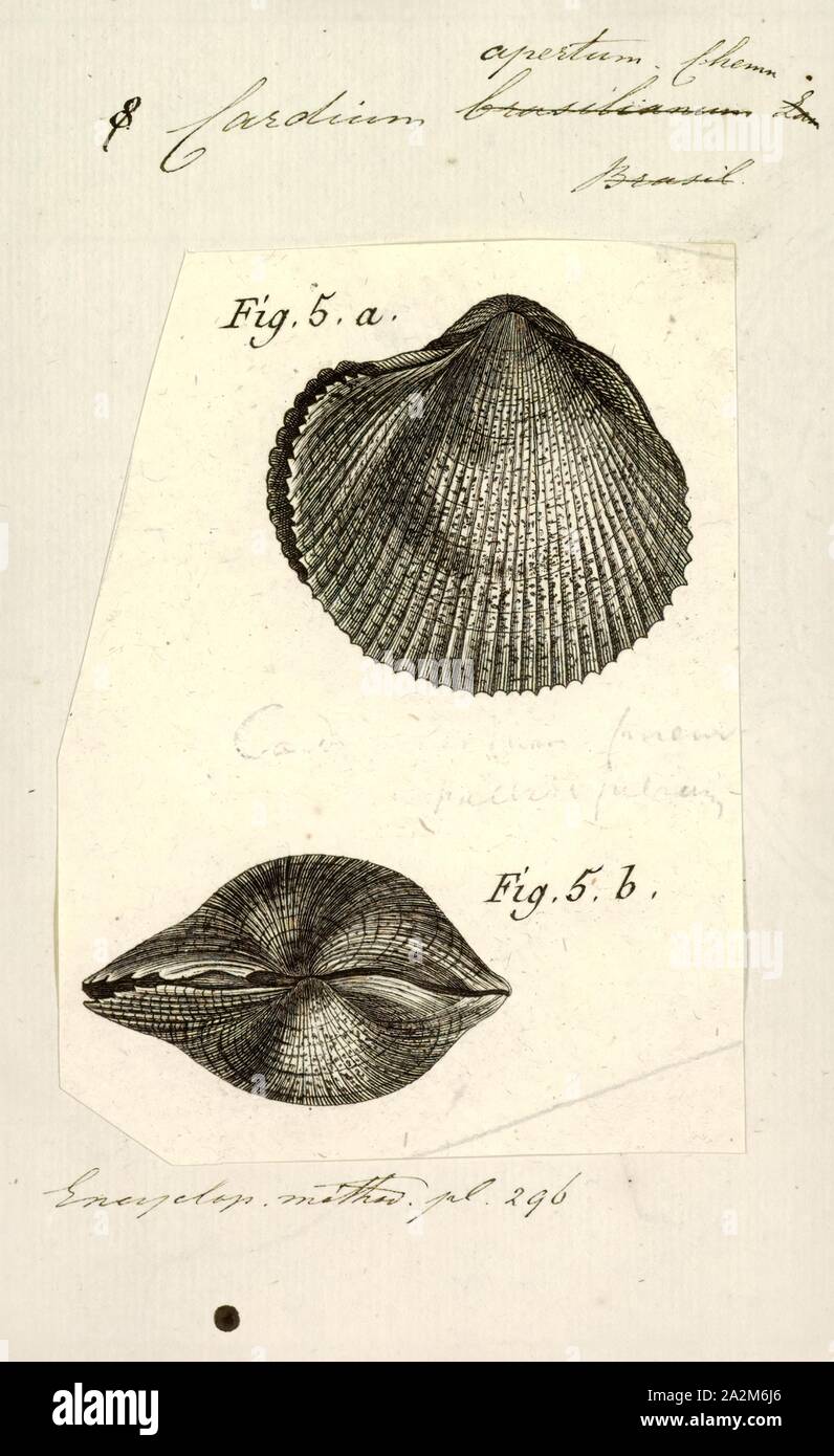 Apertum hi-res stock photography and images - Alamy