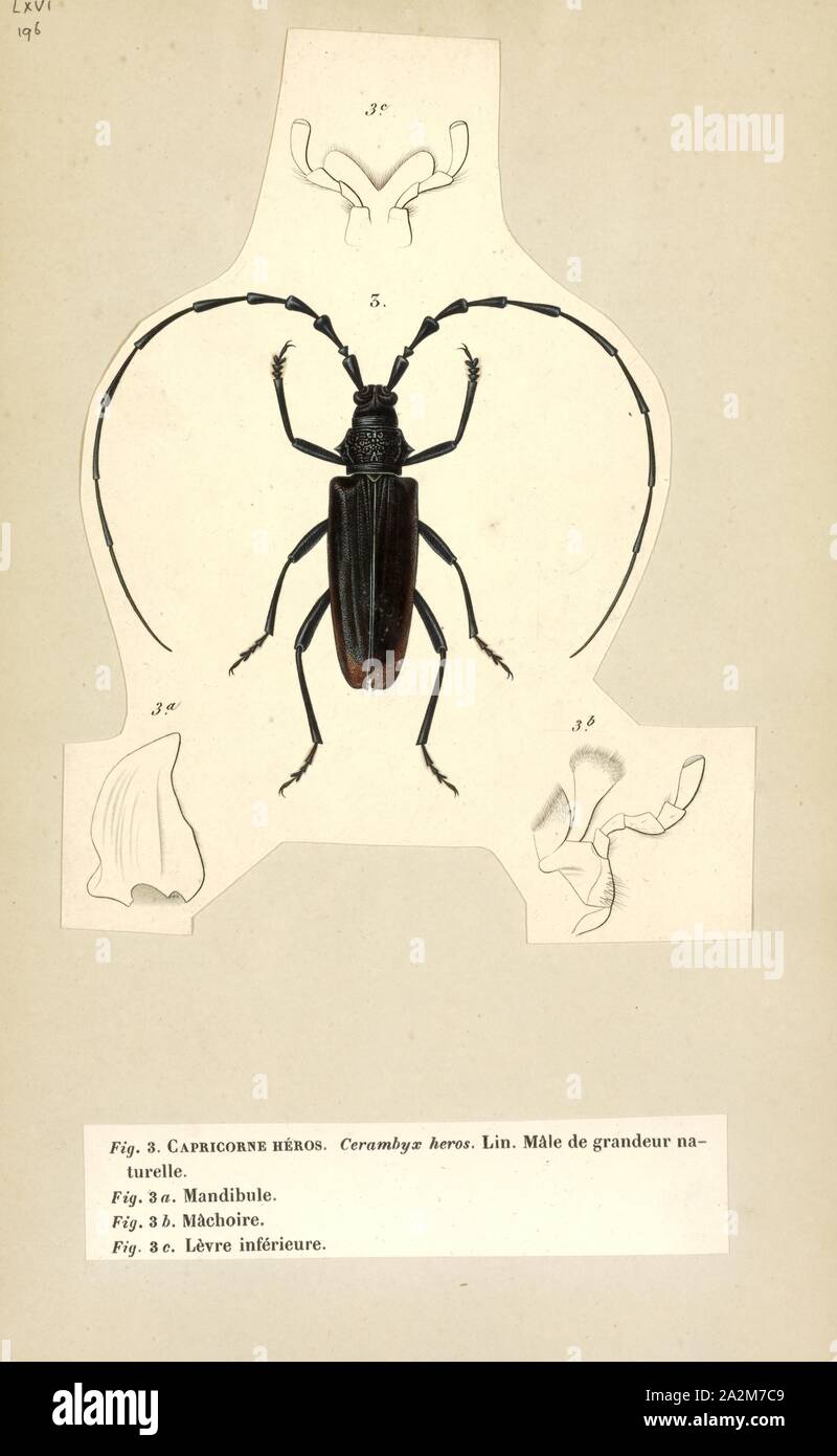 Tip flares hi-res stock photography and images - Alamy